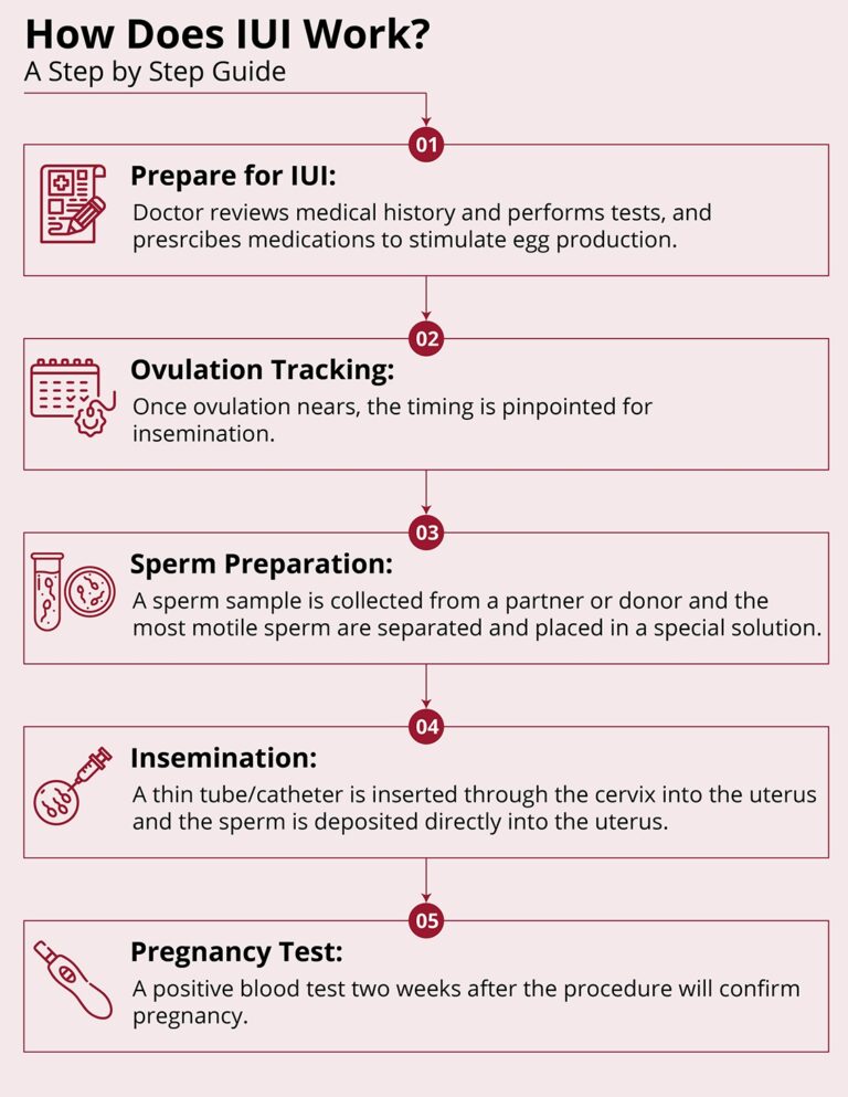 Intrauterine Insemination (IUI) - One Fertility Kitchener Waterloo